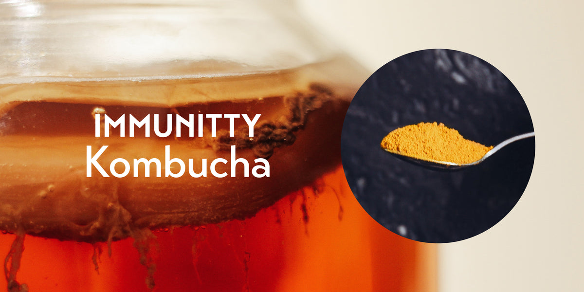 GOLDEN TURMERIC Kombucha – Solstice Blends